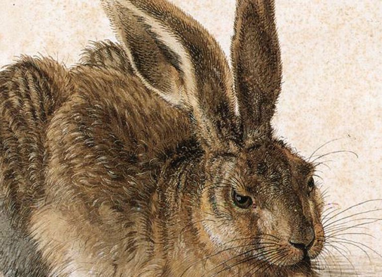 History of Pretty: Albrecht Dürer, the reason I studied art history in ...